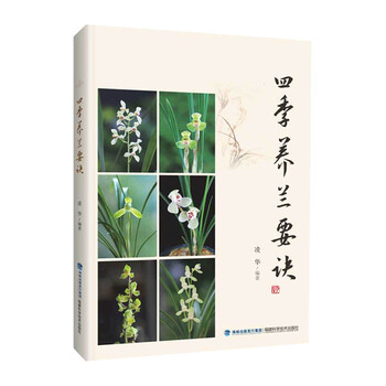 四季养兰要诀