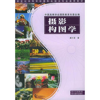 摄影构图学 9787541026355