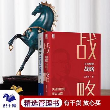 高处看战略2本套：王志纲论战略，关键阶段的重大抉择+重生，中国企业的战略转型 识干家企业管理C