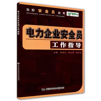 当好安全员丛书：电力企业安全员工作指导