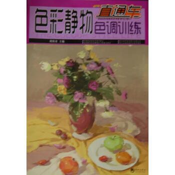 色彩静物色调训练 胡海亚 绘画 9787515704197