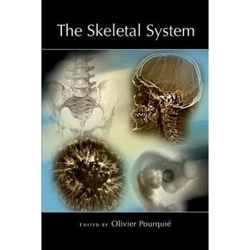 The Skeletal System