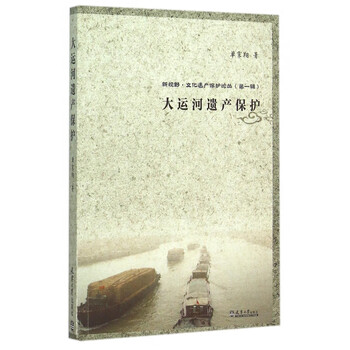 大运河遗产保护/新视野文化遗产保护论丛