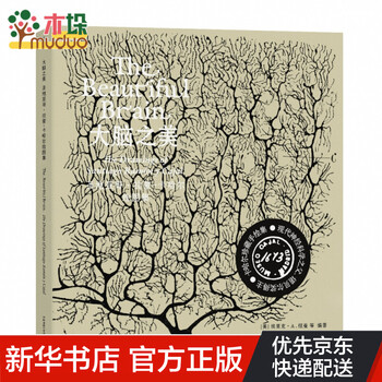 大脑之美：圣地亚哥·拉蒙-卡哈尔绘图集