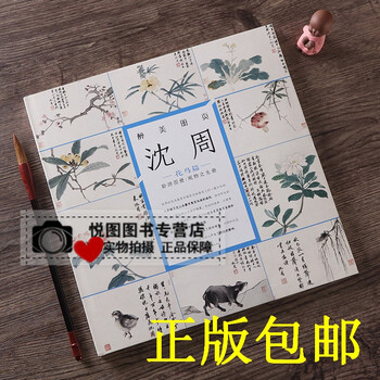 醉美册页 可单选 沈周花鸟篇