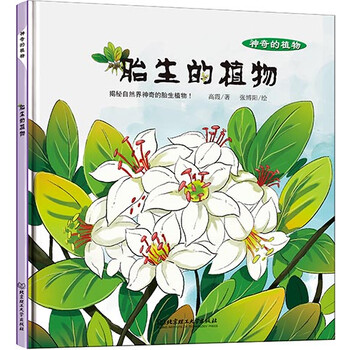 神奇的植物:胎生的植物