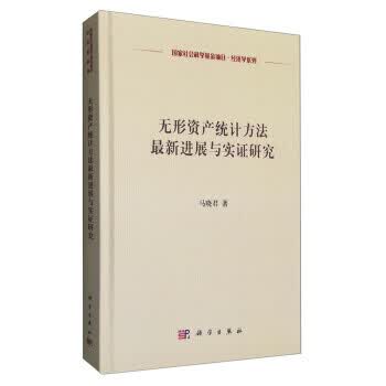 无形资产统计方法新进展与实证研究