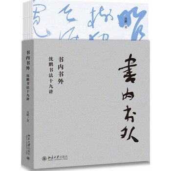 书内书外(沈鹏书法十九讲)