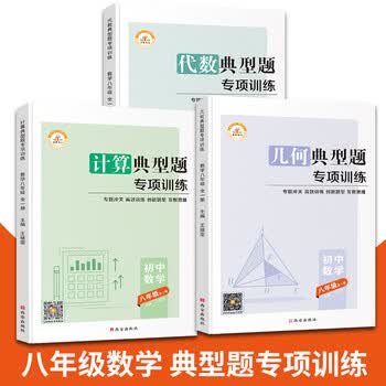 2022新初中数学典型题专项训练全套计算代数几何七八九年级上下册高效思维强化练习题789必刷题教材全 八年级几何+计算+代数【3本】 初中通用