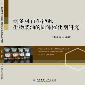 制备可再生能源生物柴油的固体催化剂研究