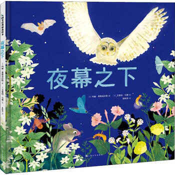 夜幕之下 (法)玛丽·莱斯克拉特 著 朱陈荣 译 (法)艾曼 艾曼纽·乌赛