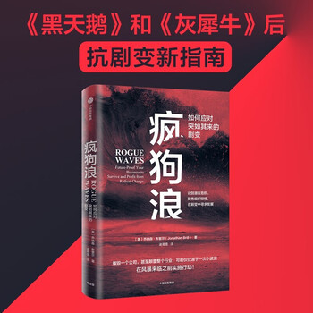 疯狗浪 如何应对突如其来的剧变 乔纳森·布里尔 著 建模预测和验证风险 继《黑天鹅》《灰犀牛》又一应对风险作品 新书