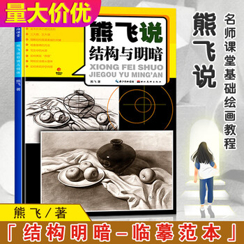 熊飞说结构与明暗名师课堂熊飞透视法则临摹写生光源基础照片美术高考教材湖北美术出版敲门砖