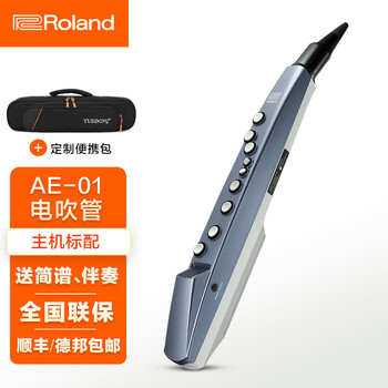 罗兰（Roland）电吹管电萨克斯自带音源民乐初学入门电子管乐 罗兰AE01电吹管 标配【图片 价格 品牌 报价】-京东