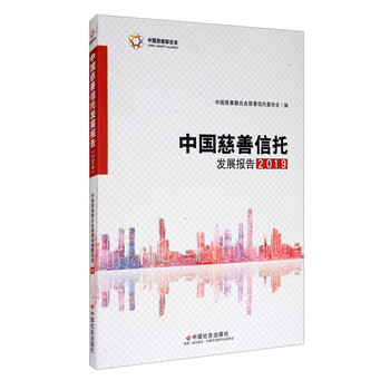 中国慈善信托发展报告（2019）