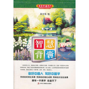 智慧背囊【正版图书】