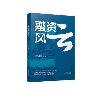 融资风云 王国进 9787201161150 天津人民出版社