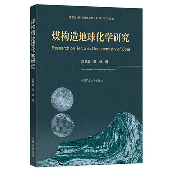 煤构造地球化学研究