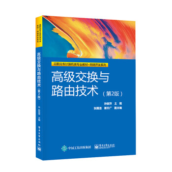 高级交换与路由技术（第2版）