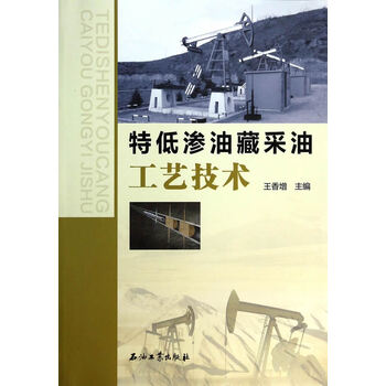 特低渗油藏采油工艺技术 王香增