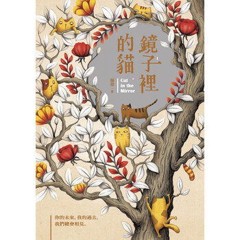 台版 镜子里的猫 趣味插画绘本魔幻冒险童话故事儿童文学