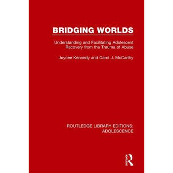 Bridging Worlds: Understanding and Facilitating