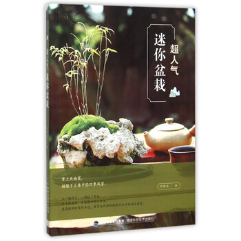 超人气迷你盆栽