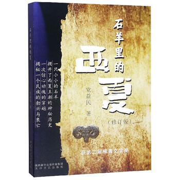 石羊里的西夏(修订版)