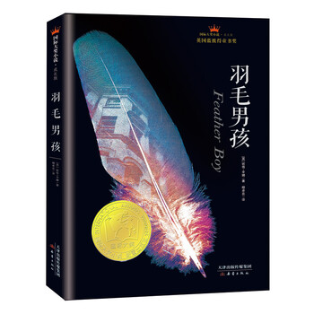 国际大奖小说·成长版——羽毛男孩