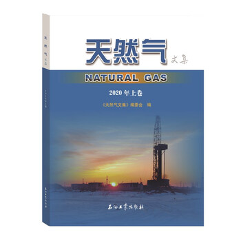 天然气文集 2020年上卷