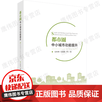 都市圈中小城市功能提升