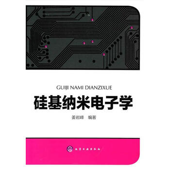 硅基纳米电子学【正版图书，放心下单】