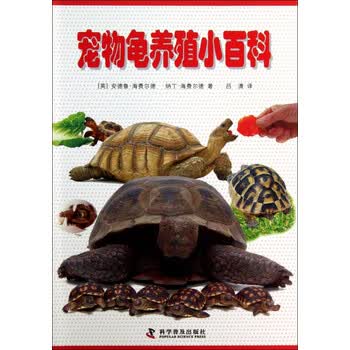 宠物龟养殖小百科