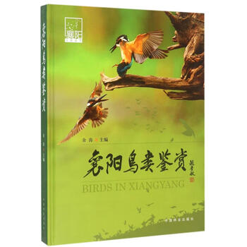 襄阳鸟类鉴赏 余涛 科普读物 9787503881480