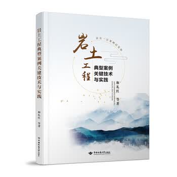 岩土工程典型案例关键技术与实践(精)