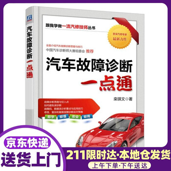 汽车故障诊断一点通 栾琪文 机械工业出版社