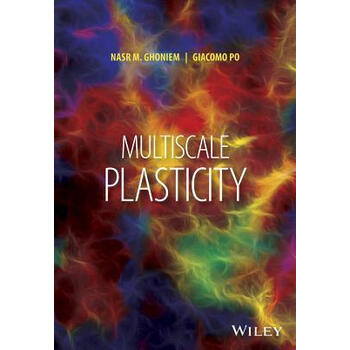 Multiscale Plasticity