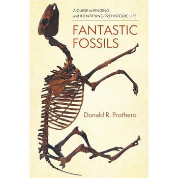 Fantastic Fossils: A Guide to Finding and Identi