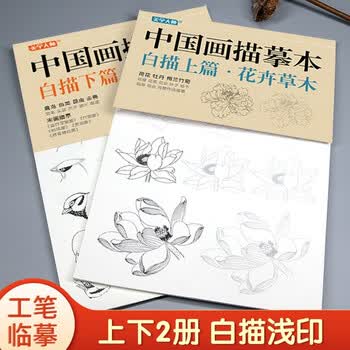 美学大师 中国画描摹本工笔画上下2册/基础训练篇+强化提高篇 花卉草木鸟兽鱼虫绘画临摹本入门零基础书