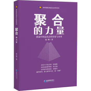聚合的力量-游荡中国走出去的历史与未来 赵鹏 企业理出版社 9787516411346