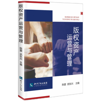 版权资产运营与管理 陈震 武东兴