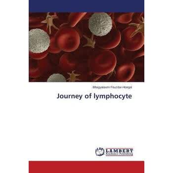 Journey of Lymphocyte