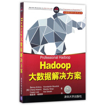 Hadoop大数据解决方案/大数据应用与技术丛书