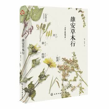 雄安草木行