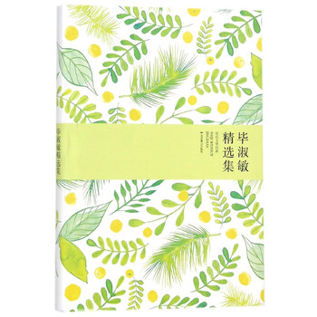 毕淑敏精选集(世纪文学经典)(精)