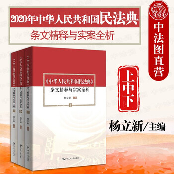 现货速发 中华人民共和国民法典条文精释与实案全析上中下 杨立新 2020民法典释义条文解读案例指引