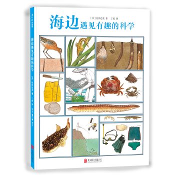 海边遇见有趣的科学