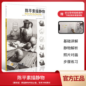 陈平素描静物卓越教学素描基础入门单个组合完整画面步骤解析范画临摹范本照片对画美术绘画高考联考教材教程