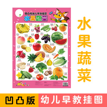宝宝早教挂图幼儿童拼音启蒙认知识字表卡字母表墙贴益智玩具 凹凸版幼儿早教挂图 水果蔬菜