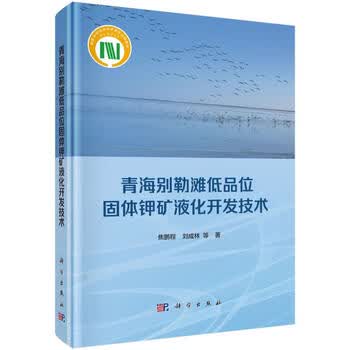 青海别勒滩低品位固体钾矿液化开发技术(精)